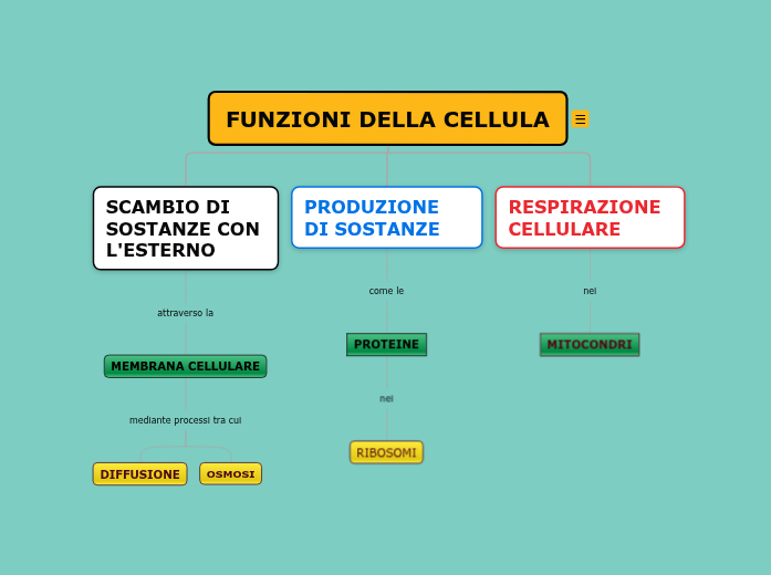 FUNZIONI DELLA CELLULA - Mind Map